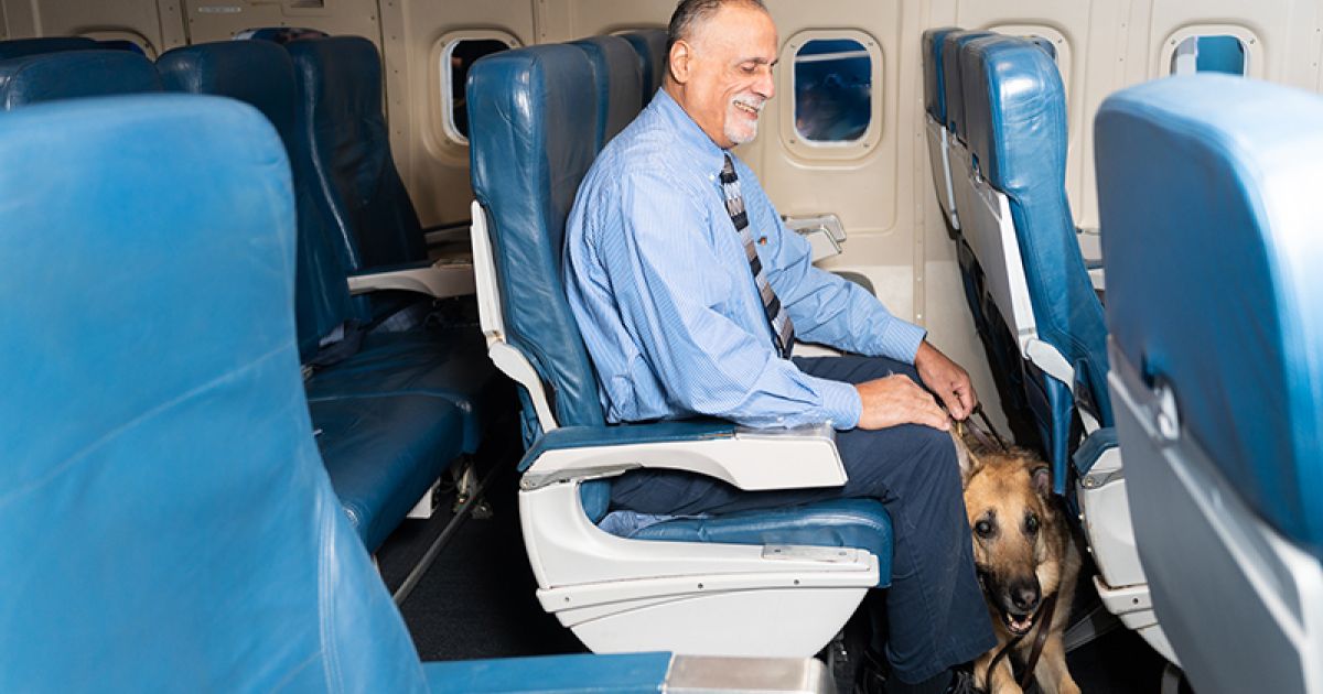 MSP Earns Highest Industry Accreditation in Accessibility ...